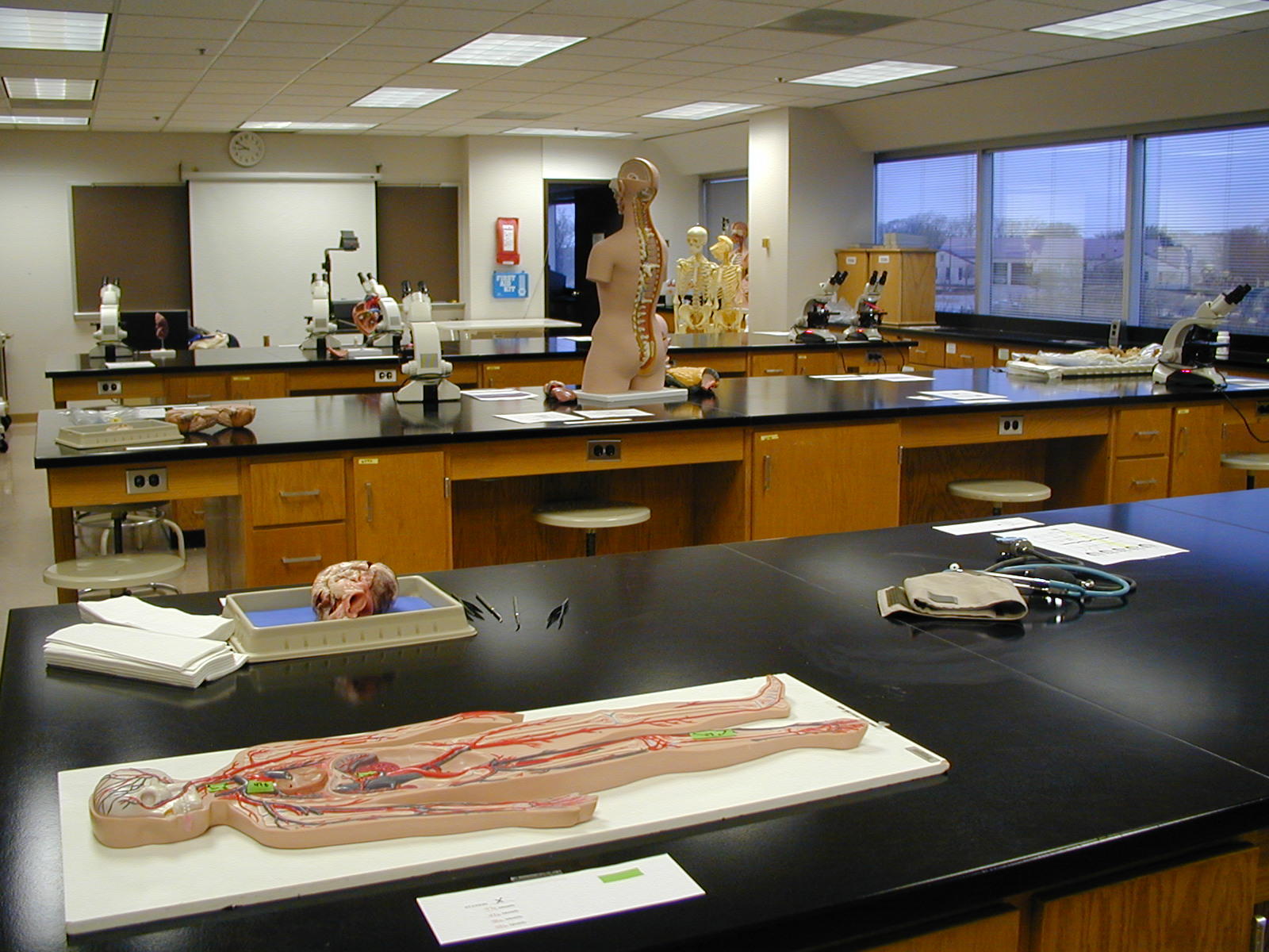 faculty.collin.edu - /mweis/A&P Basics/Lab/Basics Lab Practicals/Basics Lab Practical Room Photos/